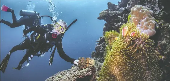 ECOTOURISM CAN HELP SAVE THE GREAT BARRIER REEF - PressReader