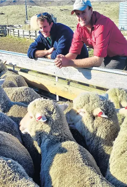 Resilience in farming key for Rolfe - PressReader