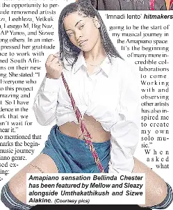 Bellinda Chester collaborat­es with Mellow and Sleazy - PressReader