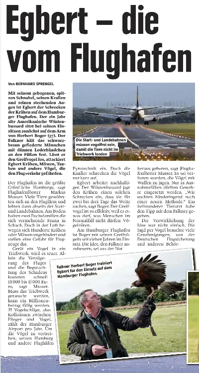 Willi Wacker – der Comic-Held der MOPO - PressReader