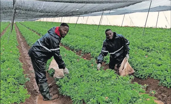 Israel is recruiting Malawian workers - PressReader