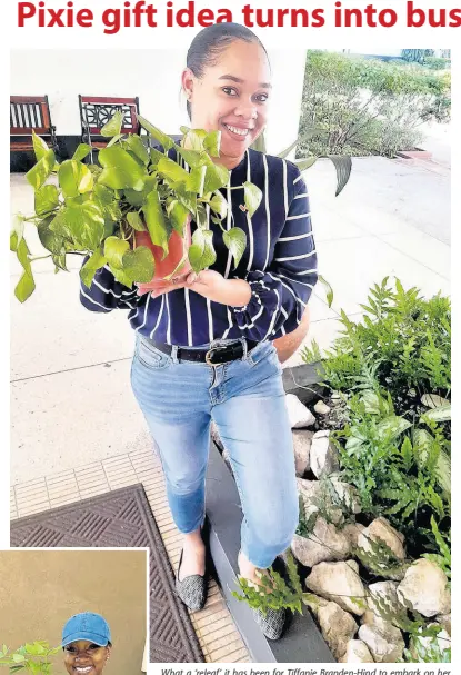What a Lucky Bamboo: Pixie gift idea turns into business opportunit­y - PressReader