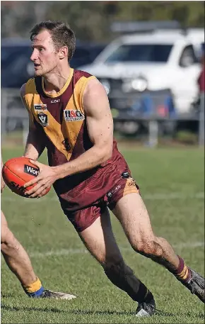 Lions know the danger their prey presents - PressReader