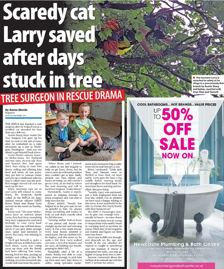 Scaredy cat Larry saved after days stuck in tree TREE SURGEON IN RESCUE DRAMA - PressReader