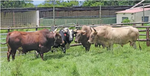 Questions about terminal crosses - PressReader