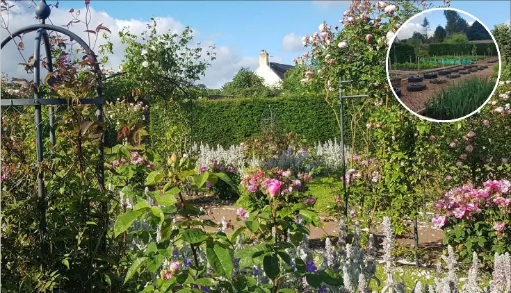 Set within the protective walls of a Victorian kitchen garden - PressReader