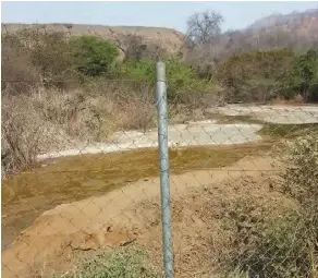 Gold mines poison Manicaland rivers - PressReader