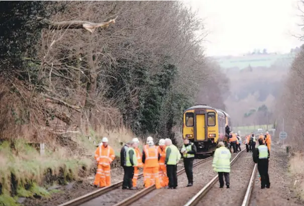 Drama as train hits tree on line - PressReader
