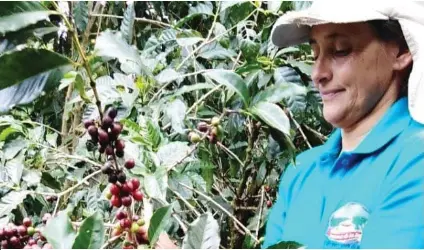 Café con aroma de mujer - PressReader