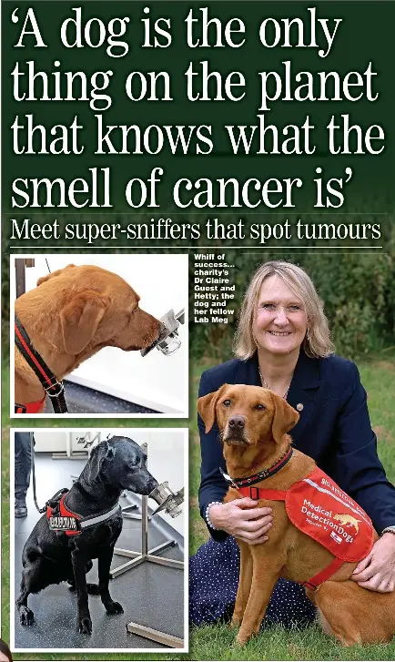 ‘A dog is the only thing on the planet that knows what the smell of cancer is’ - PressReader