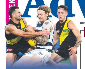 TIGERS ROAR AGAINST CATS - PressReader