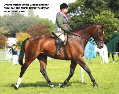 Teddy on song - PressReader