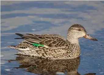 Basic Principles - PressReader