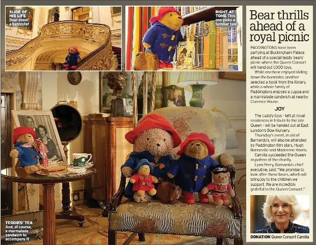 CASTLE JOB CULL - PressReader