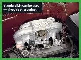 Can you use the standard EFi? - PressReader