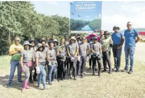 Mangrove project goes back to its roots - PressReader