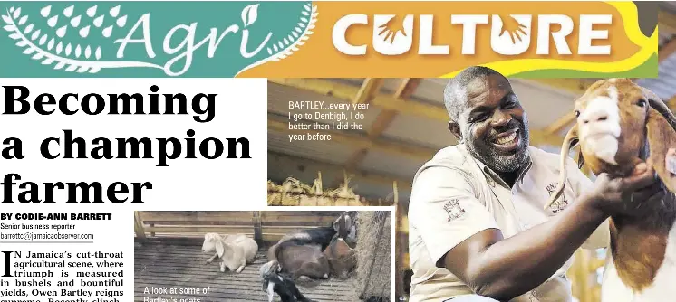 Becoming a champion farmer - PressReader
