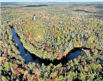New nature reserve in Shelburne County - PressReader