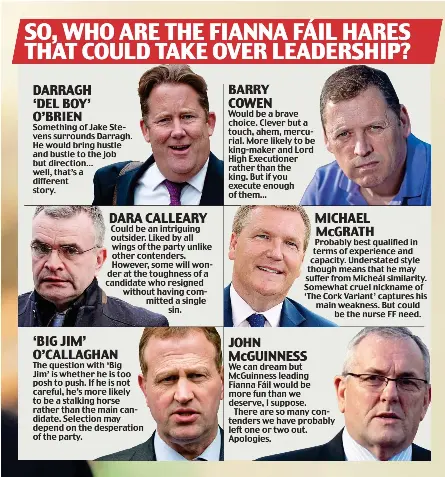 SO, WHO ARE THE FIANNA FÁIL HARES THAT COULD TAKE OVER LEADERSHIP? - PressReader