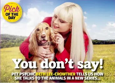 You don’t say! - PressReader