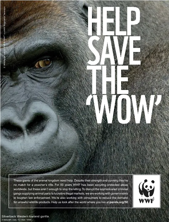 HELP SAVE THE ‘WOW’ - PressReader