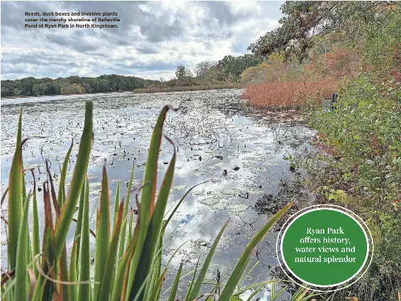 AUTUMN IDYLL - PressReader