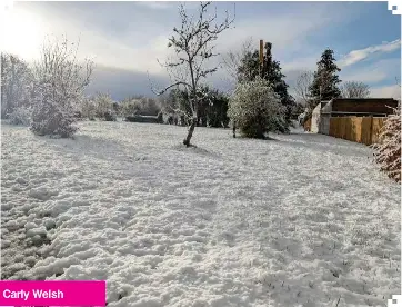 Snow brings disruption – and striking scenes to Pembrokesh­ire ...