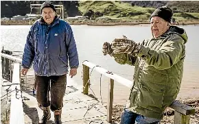What does the season mean for whitebait? - PressReader