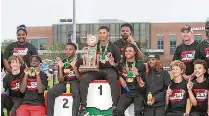 Wayne boys win D-I state track title - PressReader