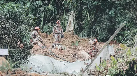2022 marred by landslide tragedy, floods - PressReader