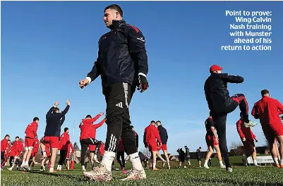 Munster will be boosted by comeback of ‘forgotten’ man Calvin - PressReader