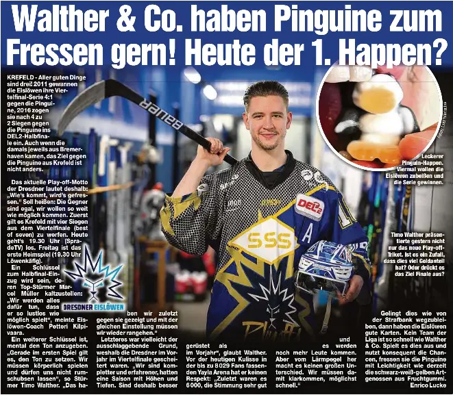 Walther & Co. haben Pinguine zum Fressen gern! Heute der 1. Happen? - PressReader