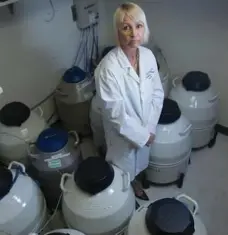 Egg-freezing buys more time for starting family - PressReader