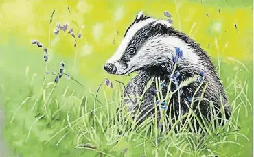 Characters of the Cut - PressReader