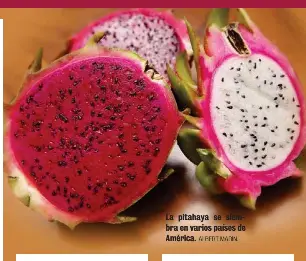 ENCANTADOR DRAGÓN TICO - PressReader