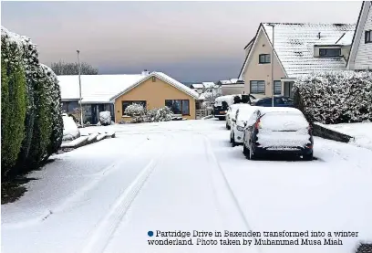 Winter wonderland! - PressReader