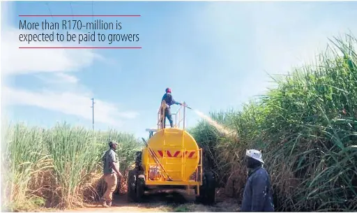Millions to boost small-scale cane growers - PressReader