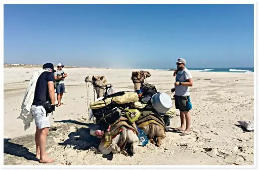 CAMEL CATASTROPH­E! - PressReader