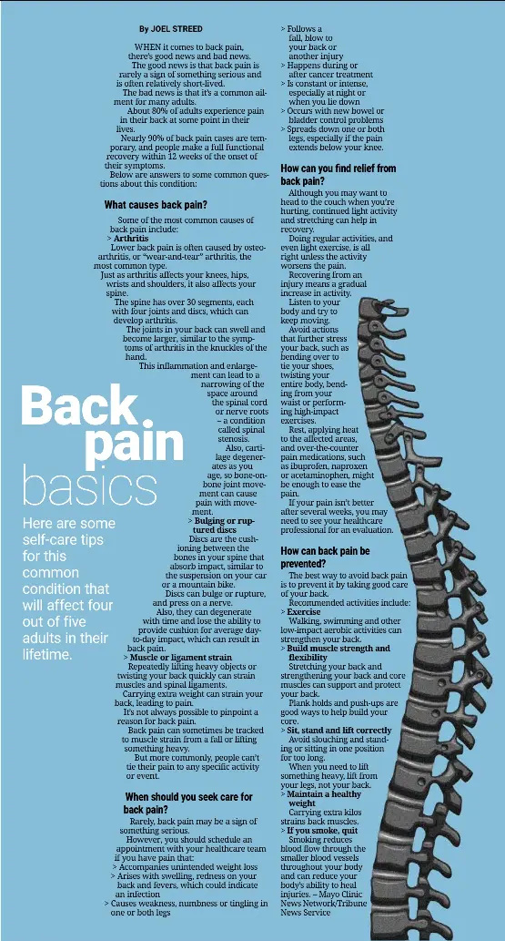 Back pain basics - PressReader