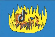 Answering your burning questions about Tiktok - PressReader