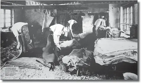 A brief history of our leather trade - PressReader