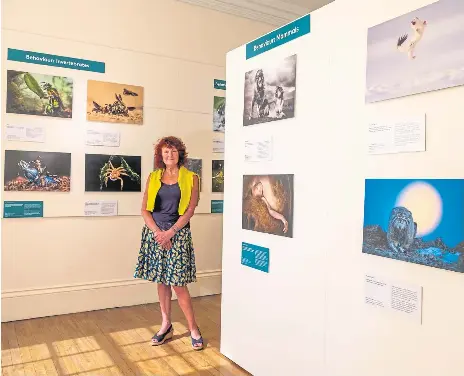 Chance to gazeatsome wonders of natural world - PressReader