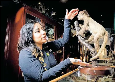 Ofrecen inmersión en la historia natural - PressReader