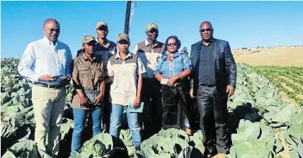 Zingqayi youth toil the soil to business success - PressReader