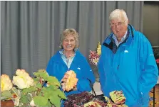 Flower show back in full bloom - PressReader