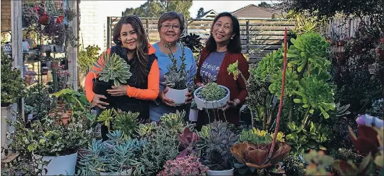 Festival for seniors - PressReader