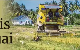 Kadar SSHP baharu pesawah Kedah, Perlis selepas musim menuai - PressReader
