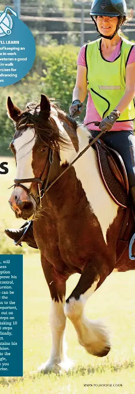 Fixi t... Workouts for golden oldies - PressReader