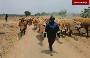 Mother demands justice for sodomised son - PressReader