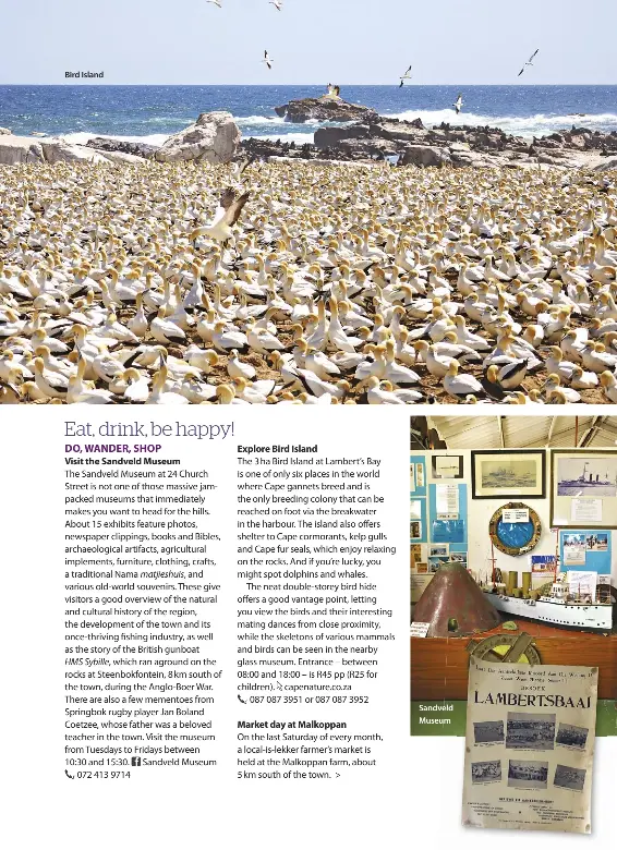 Eat, drink, be happy! - PressReader